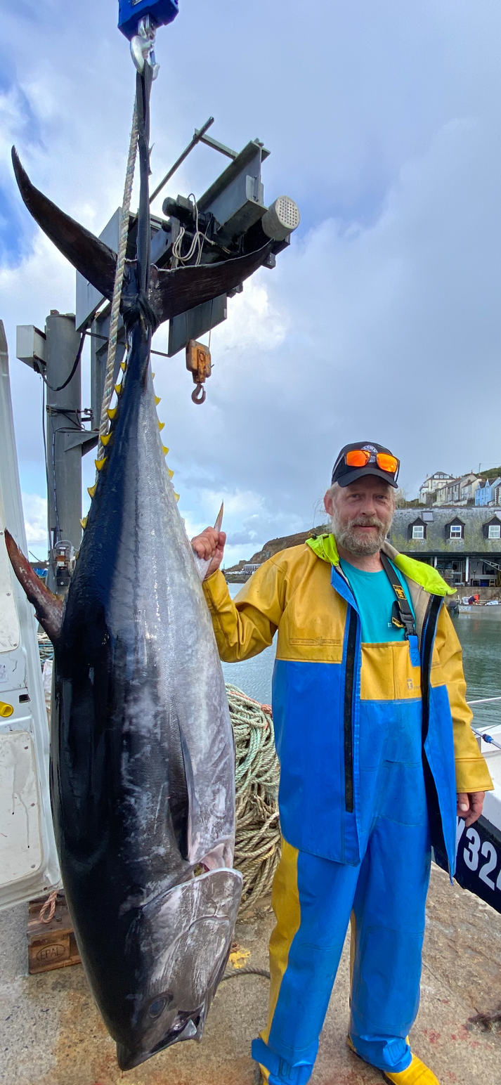 Cornish Bluefin Tuna - Rod & Line Caught | Premium Canned Fish ...