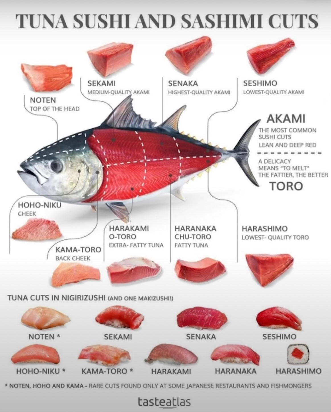 Cornish Bluefin Tuna - Rod & Line Caught | Premium Canned Fish ...